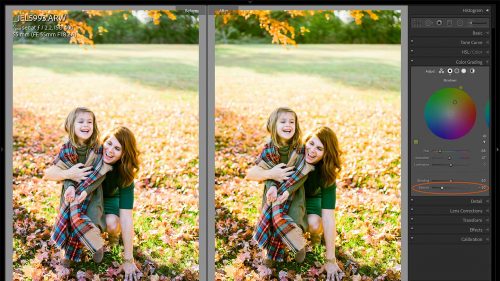 4 Steps to Use the Color Grade Tool in Lightroom Classic v10
