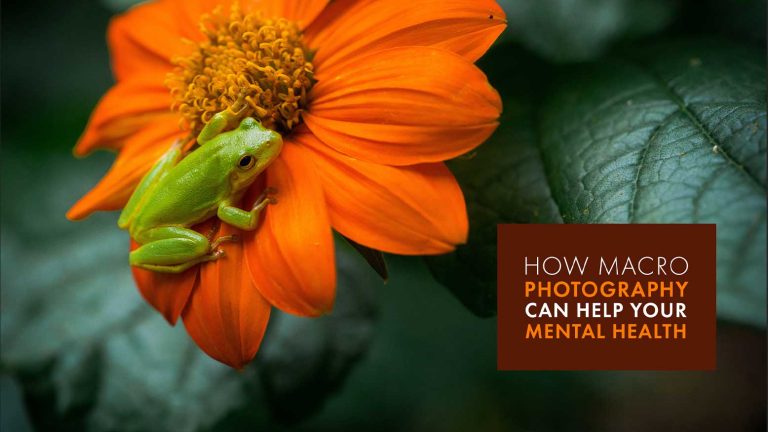 Behind the Shutter - Free Photography Training and Education