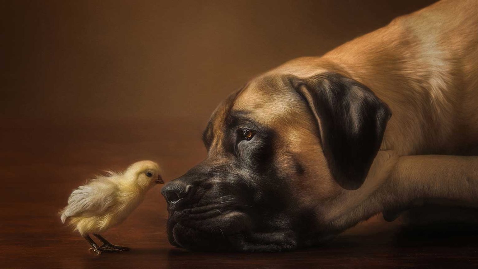 Behind the Shutter - Free Photography Training and Education