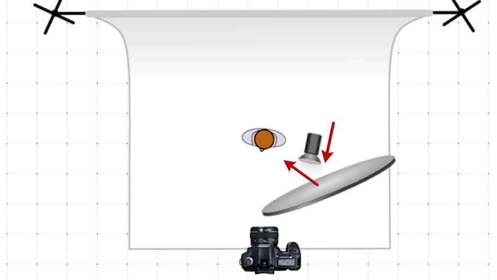 How to Use Continuous Light & A Reflector For Soft Beauty Portraits